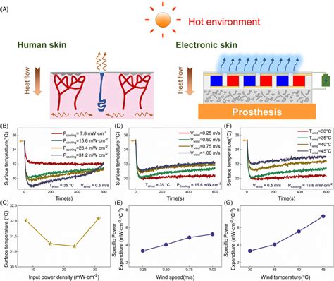 Thermoregulation Of The E‐skin In A Hot Environment A Temperature Download Scientific