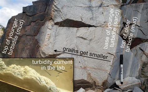 Turbidity Currents Rocks
