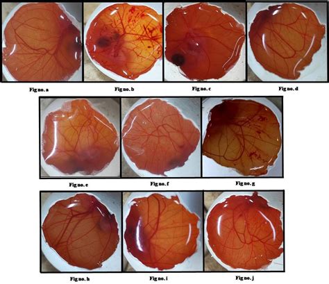 Development And Preclinical Assessment Of Nanoemulgel Loaded With Phytoconstituents For The