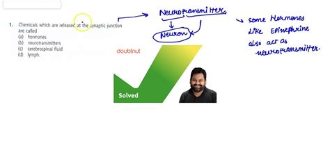 Chemicals Which Are Released At The Synaptic Junction Are Called