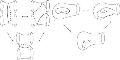 The Two Types Of Triangle Relations In The Pants Decomposition Graph Download Scientific Diagram