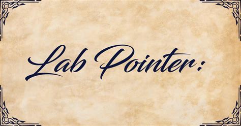 Of Lab Pointer