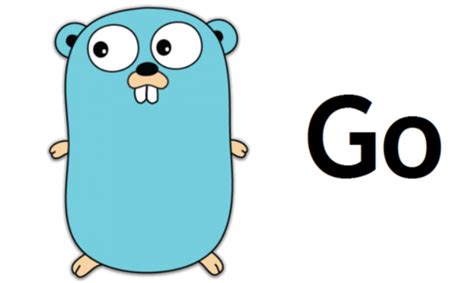 Go Lang Programlama Dili Örnekleri Script Uygulama Tema Grafik