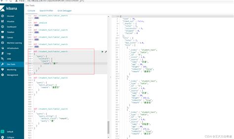 elasticsearch常用dsl语句学习 dsl更新语句 csdn博客