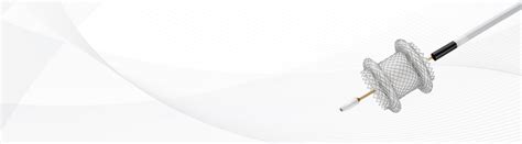 Axios™ Stent Boston Scientific