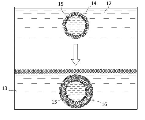 Small Rna Dependent Translational Regulatory System In Cell Or