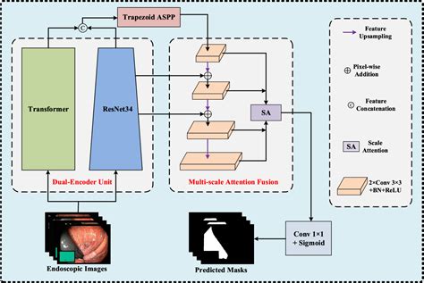 Figure From TMF Net A Transformer Based Multiscale Fusion Network For Surgical Instrument