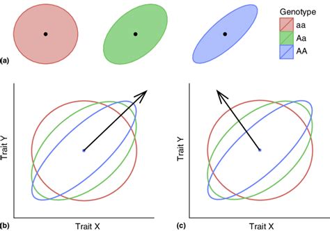 A Schematic Representation Of Correlation Between Two Traits For