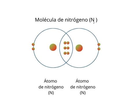 Enlace Covalente Qué Es Características Tipos Y Ejemplos Significados
