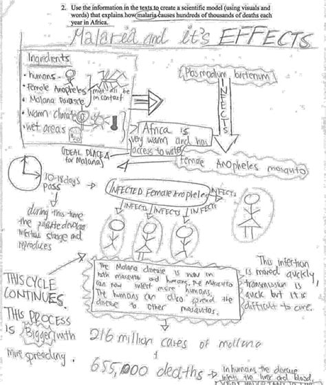 Malaria Assessment Sample Babe Model Download Scientific Diagram