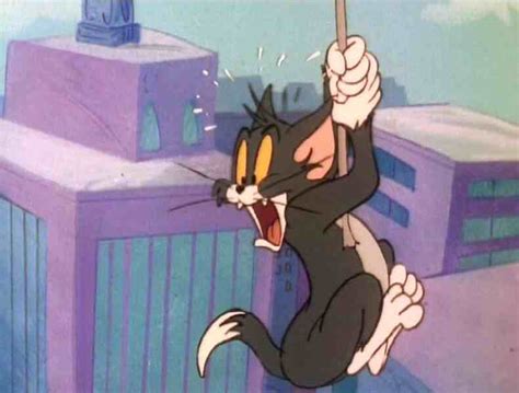 The Tom And Jerry Comedy Show 19801982 Series On Dvd Ioffer Movies