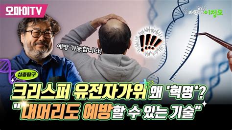 크리스퍼 유전자가위 대머리도 예방할 수 있다 오마이뉴스