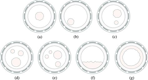 Different Flow Patterns A Central Bubble Flow B Eccentric Bubble