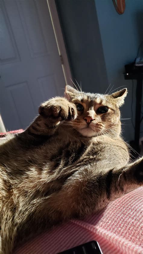 Put Em Up Scrolller