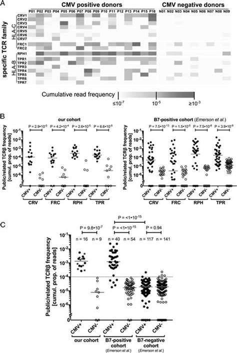 Antigen Specific Tcr Signatures Of Cytomegalovirus Infection The