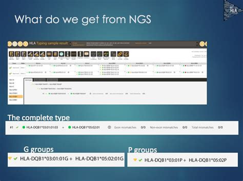 Benefits Of HLA Typing By NGS For Organ Transplantation Omixon NGS For HLA