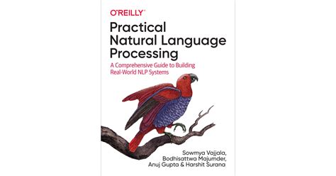 Practical Natural Language Processing Book