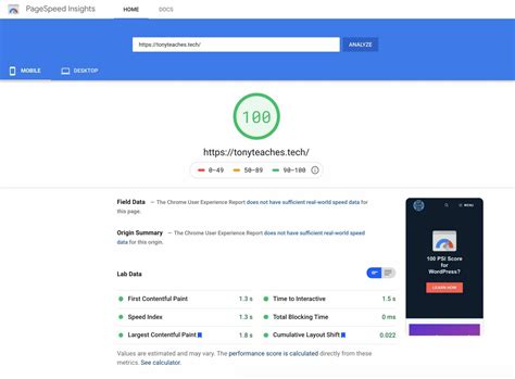 How To Get A Perfect Pagespeed Insights Score For Wordpress Tony