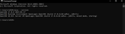 How To Install React Native On Windows A Step By Step Guide Possible Errors And How To Fix