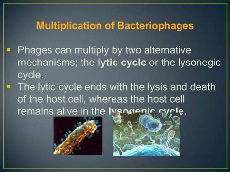 Microbiology Noncellular Microbes Louis Carlo Lim Ppt