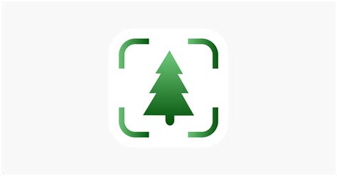Tree Identifier Leaf AI Scan On The App Store