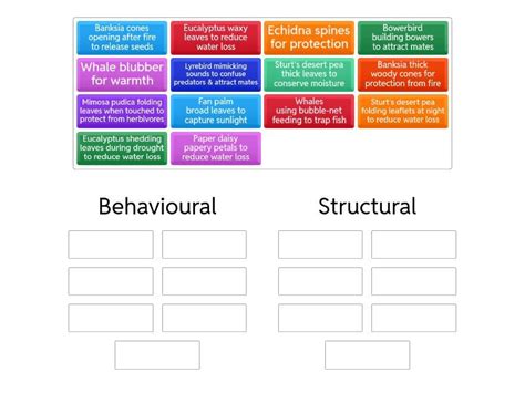 Behavioural And Structural Adaptations 2 Group Sort