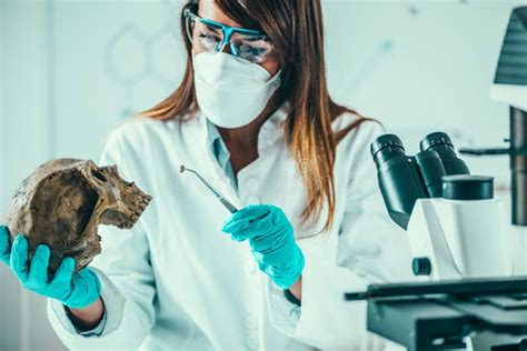 Forensic Science Stock Image Image Of Females Adults