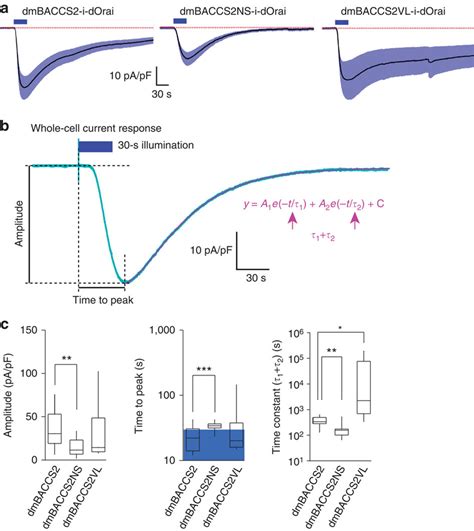 Characterization Of Light Activated Whole Cell Inward Currents Recorded