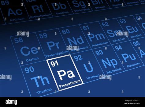 Protactinium On Periodic Table Of The Elements With Element Symbol Pa Stock Vector Image And Art