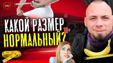 Какой нормальный размер члена Средний размер пениса чтобы подарить женщине оргазм 18 Youtube