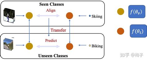 Tsrl 零样本视频识别 知乎