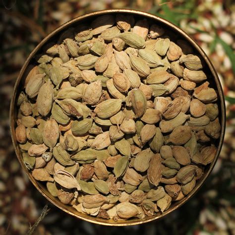Cardamom