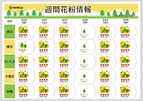 東京都内の花粉飛散数 予測最大値の3割程度の所が多い しばらく大量飛散が続く 気象予報士 吉田 友海 2023年03月09日 日本気象