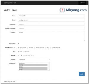 Spring MVC Form Handling Example Mkyong Com