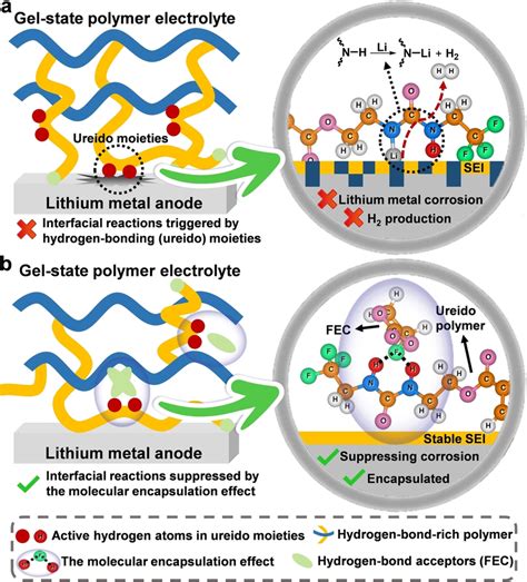 Schematics Of Interfacial Reactions Between Hydrogen‐bond‐rich Download Scientific Diagram
