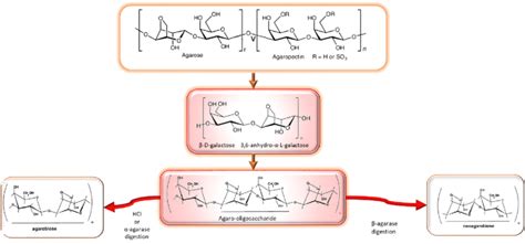 Agar Sigma Pdf Pdf Agar Chemical Substances 59 Off