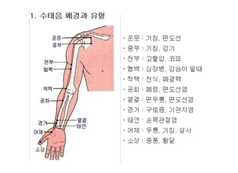 수태음폐경 네이버 블로그