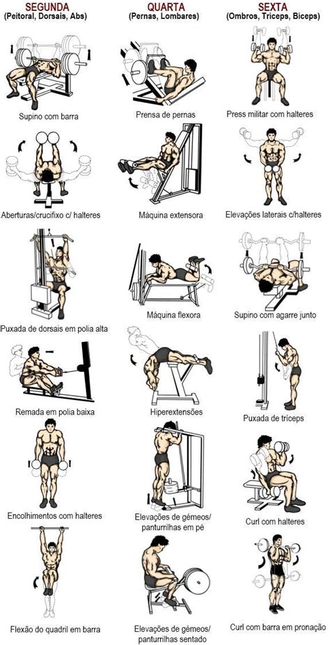Circuito De Exercícios Lizbon Exercícios De Musculação Rotinas De