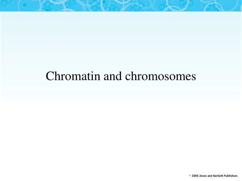 Ppt Chromatin And Chromosomes A Comprehensive Guide Powerpoint Presentation Id9095798