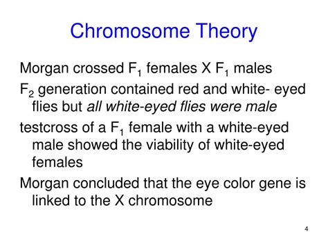 Ppt Chromosomes Mapping And The Meiosis Inheritance Connection Powerpoint Presentation Id