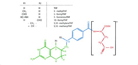 Chemical Structure Of Folates B9 The Three Different Folate Download Scientific Diagram
