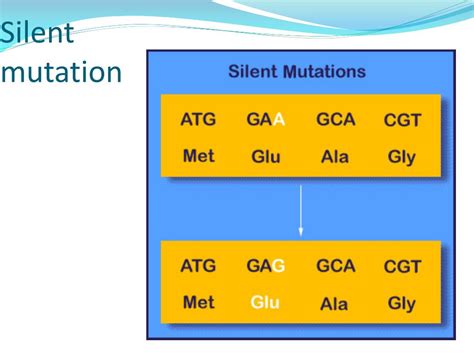 Ppt Mutations Powerpoint Presentation Free Download Id2374234