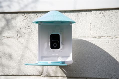 Netvue Birdfy Smart Bird Feeder Camera Review Birdwatching From Your Armchair Digital Camera
