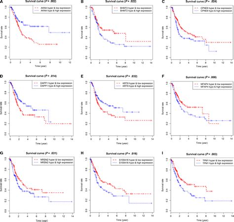 Joint Survival Analysis Combined With Methylation State And Expression Download Scientific