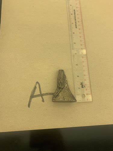 Lab Midterm Flashcards Quizlet Lab Midterm Flashcards Quizlet