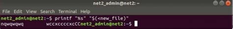 How To Display The Contents Of A Text File On The Terminal In Linux Ubuntu