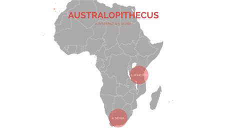 Australopithecus Afarensis Map
