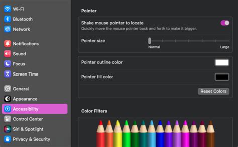Computer Cursor Pointer Accessibility