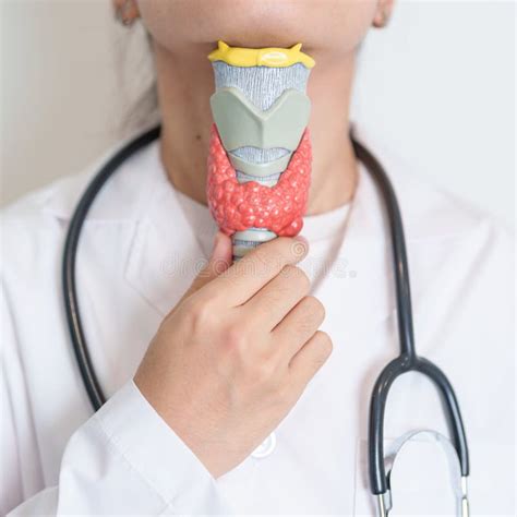 Doctor With Human Thyroid Anatomy Model Hyperthyroidism