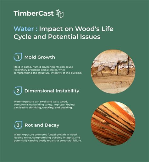 Smt Research Ltd On Linkedin Leakdetection Monitoring Smt